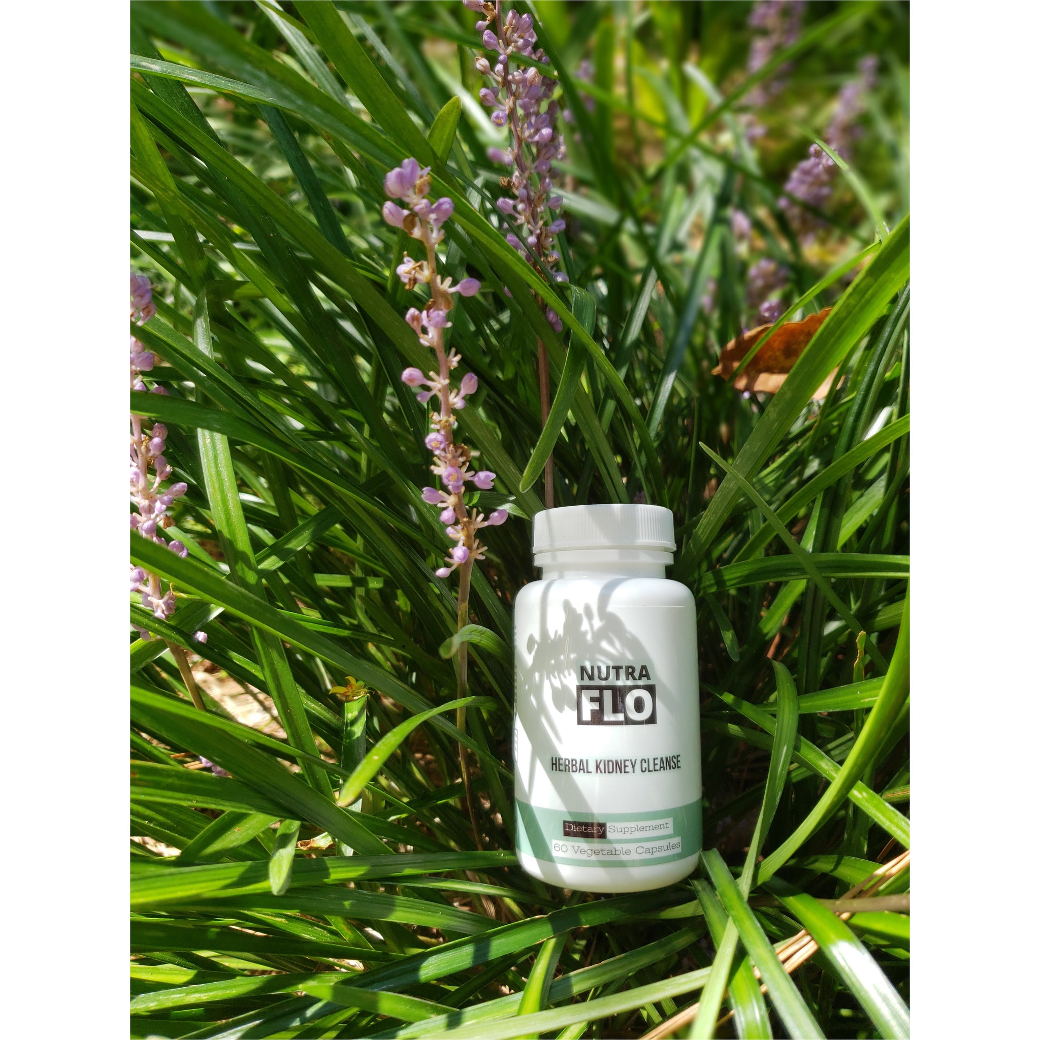 NutraFlo | NutraFlo - The Natural Kidney Cleansing Supplement